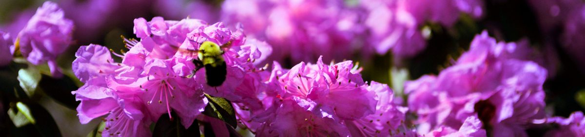 ACES Pre-Orientation Training 2023 | Academic Center for Exploratory ...